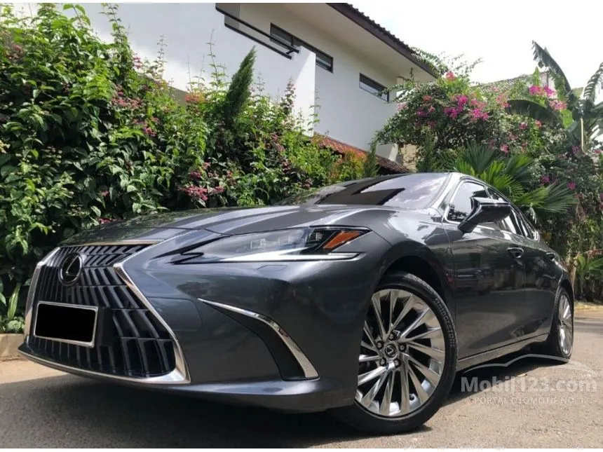 Jual Mobil Lexus ES300h 2022 Ultra Luxury 2.5 di DKI Jakarta Automatic Sedan Abu-abu Rp 1.150 ...